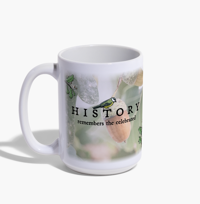 MUGS – Acorn Family Tree Designs